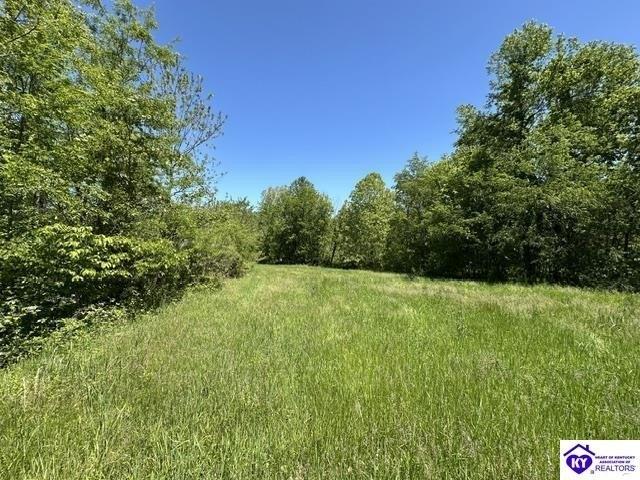 21.99 Ac Jack Chappell Rd, Webster, KY 40176
