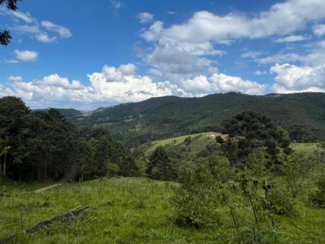 21.000m2 de terreno com VISTA infinita da Mantiqueira na charmosa Gonçalves MG