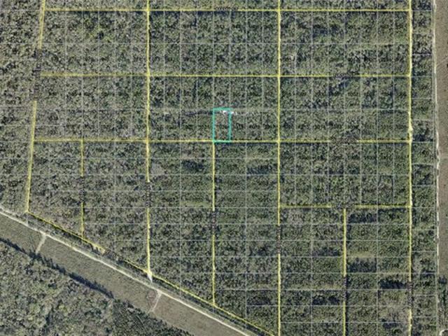 21 10 28 2775 00040 1 Olson St, Hastings, FL 32145
