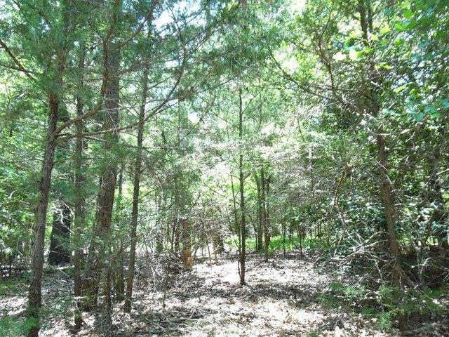 21 TBD Dogwood Dr, Murchison, TX 75778