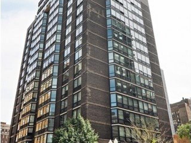 21 W Goethe St Apt 17K, Chicago, IL 60610