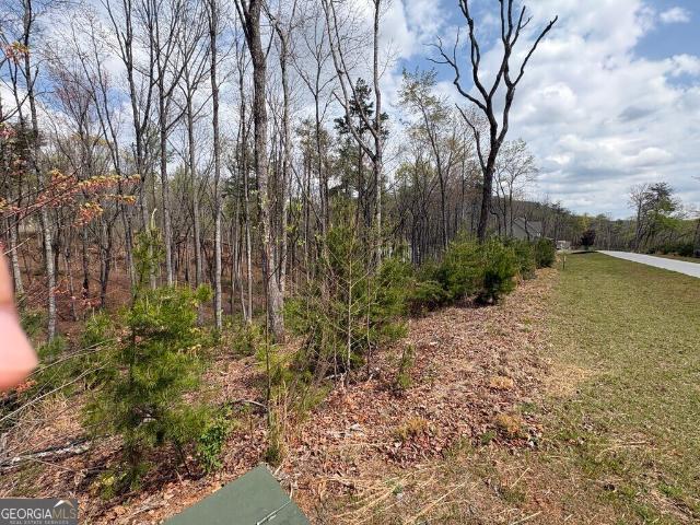21 Yonah Lake Drive