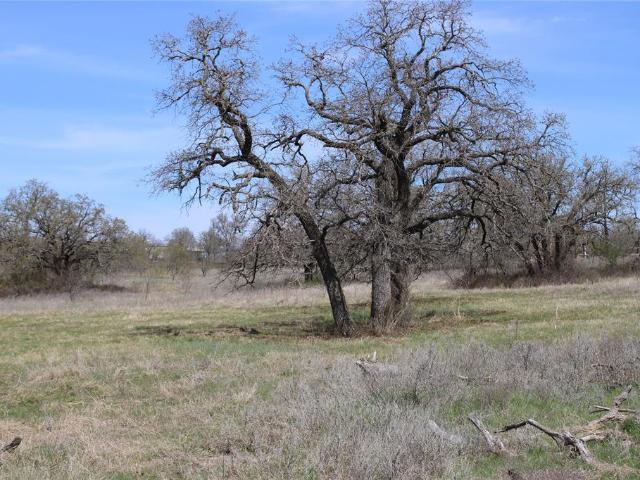 21 ac Erwin, Jacksboro, TX 76458 | MLS #21216 | Compass
