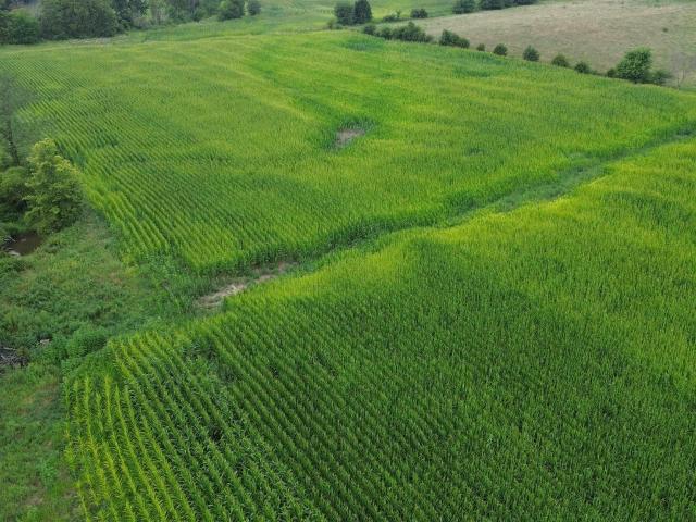 21 Acres Timber Avenue