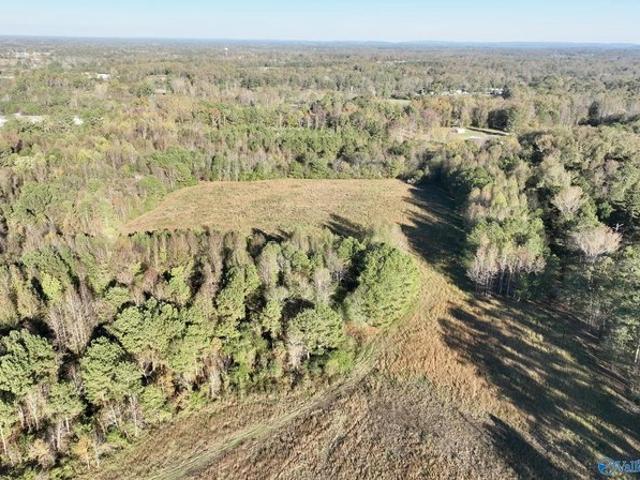 21 Acres / Pleasant Hill Church Rd, Boaz, AL 35956