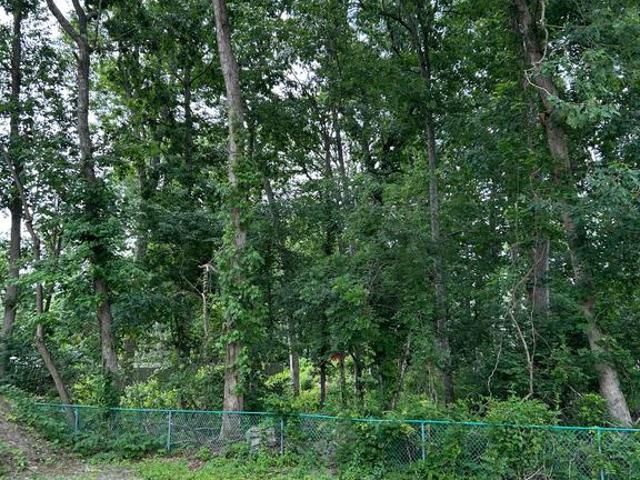 21 Bobwhite Blvd