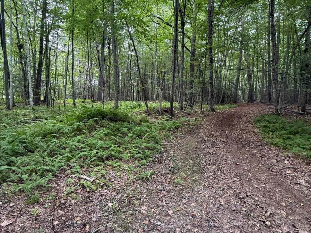 21 Chase Road # Lot 2, Map 11 Block 10