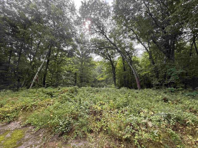 21 Chase Road # Lot 2 Map 11, Block 10