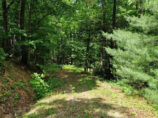 21 Collett Woods Trail # # 21