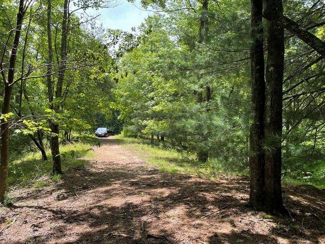 21 Collett Woods Trl Lot 21, Andrews, NC 28901