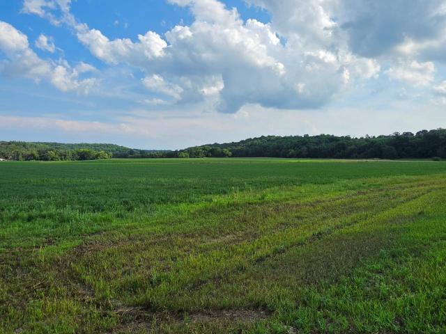 21 County Road