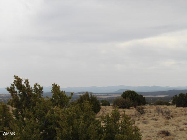 21 County Road