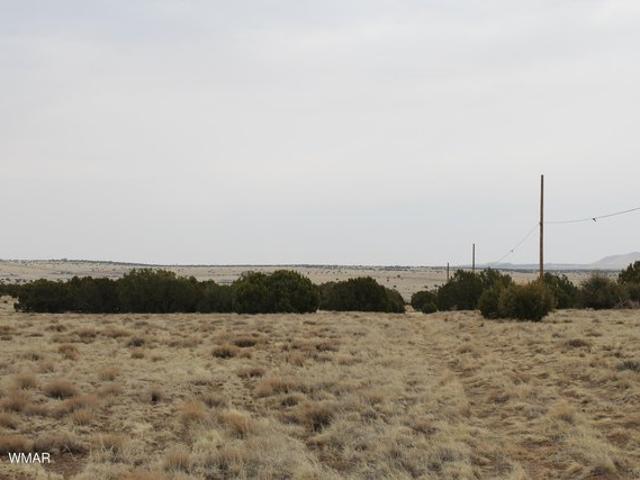 21 County Rd, Concho, AZ 85924