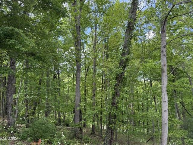 21 Claremont Cir, Crossville, TN 38558