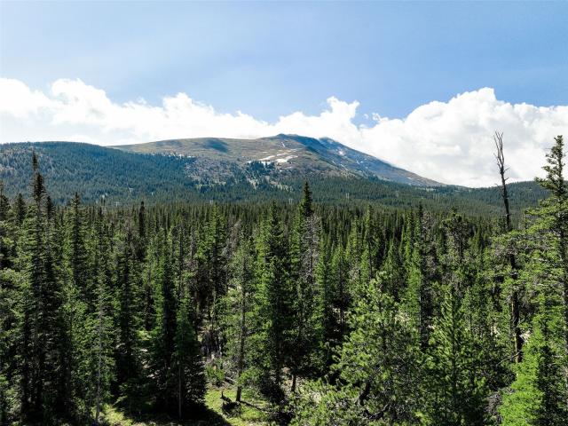 21 Cumberland Dr, Breckenridge, CO 80424 | MLS #S1051