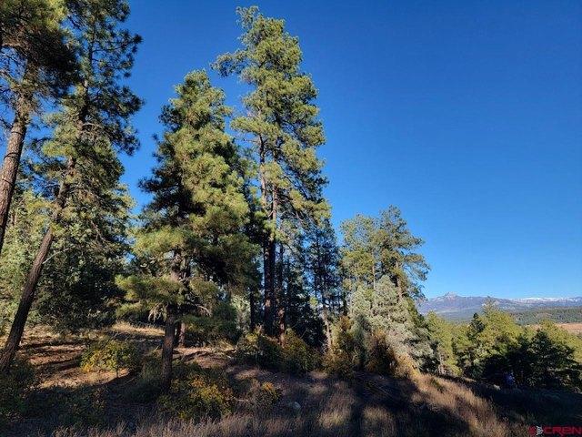 21 Echo Lk, Pagosa Springs, CO 81147