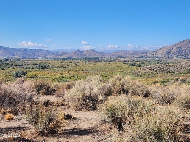 21 Eloise Cir, Wellington, NV 89444