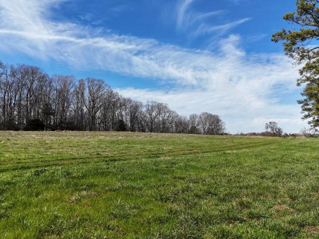 21 Jess Lane