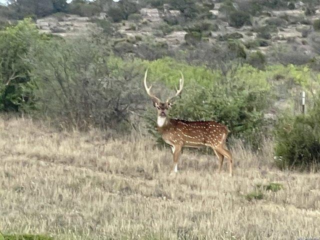 21 N High Lonesome Rnch, Comstock, TX 78837