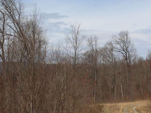 21 N Ridge, Hayesville, NC 28904 | MLS #402888