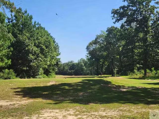 21 OAK GROVE PL, NEW BOSTON, TX 75570 Vacant Land For Sale ML.