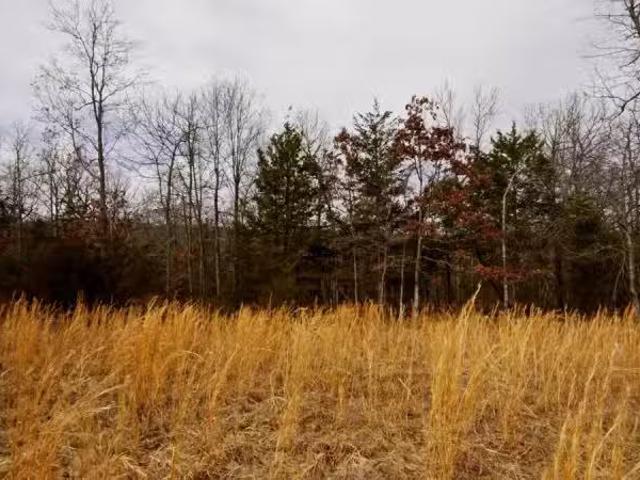 21 OAKRIDGE DR, GEPP, AR 72538 Vacant Land For Sale MLS# 2500.