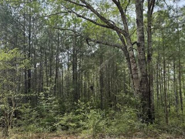 21 Range Line Rd, Perkinston, MS 39573