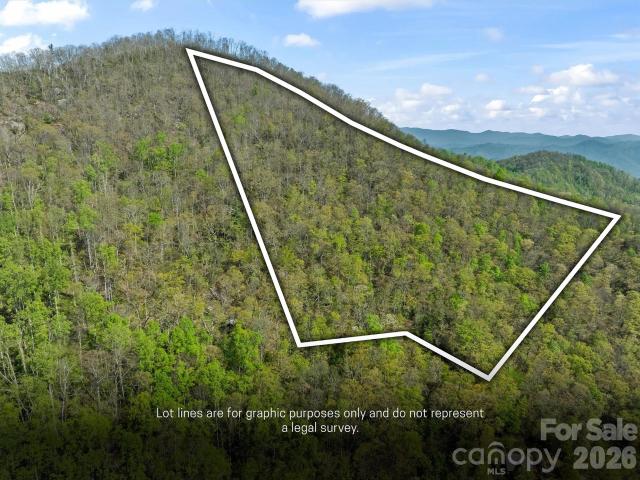 21 Reillys Bluff Rd, Unit 1, Barnardsville, NC 28709 | MLS #4374