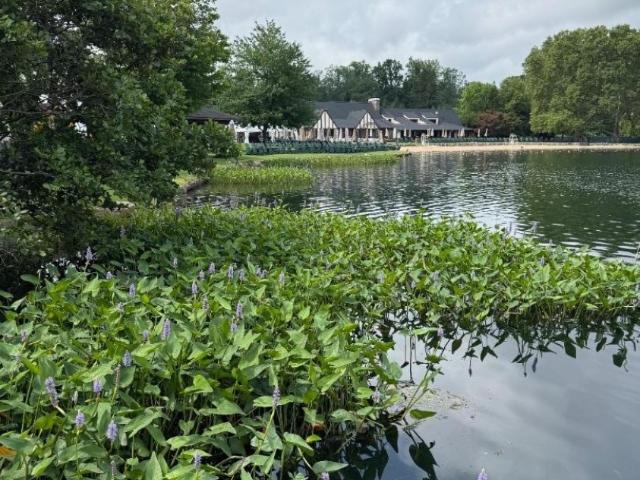 21 Rockledge Rd, Montville, NJ 07045 | MLS #4040