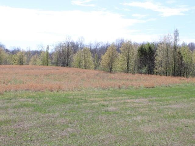 21A1 H 1 Beech St, Kuttawa, KY 42055