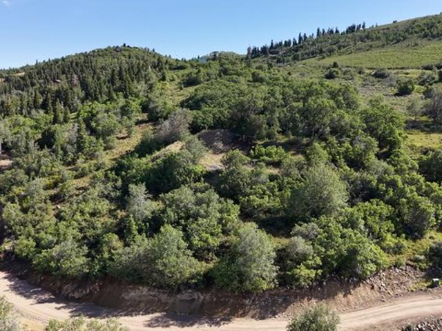 22045 N 143778 E Unit 121, Fairview, UT 84629