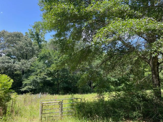 2205 Buffalo, TX 75831 | MLS #71063
