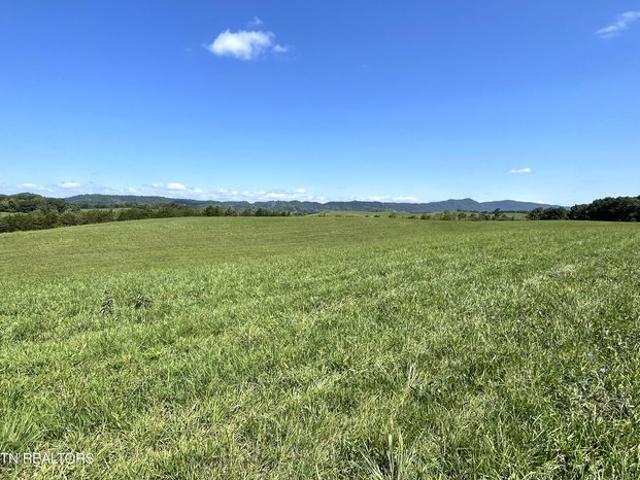 2205 Flatwoods Rd, Mosheim, TN 37818