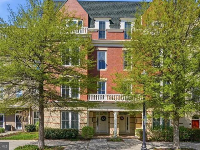 2206 Potomac Ave Unit 102, Alexandria, VA 22301