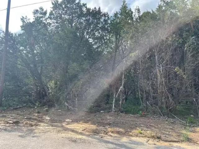 2208 Morningside Dr, Granbury, TX 76048