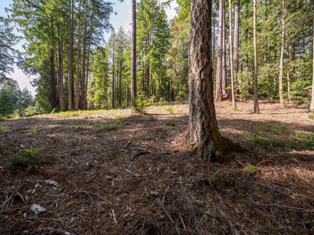 22096 Umland Cir, Jenner, CA 95450 | MLS #326021 | Compass
