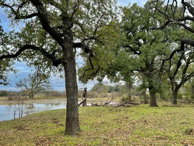 2200 Hico, TX 76457 | MLS #21182
