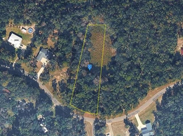 22010 SE 111th Ave, Hawthorne, FL 32640