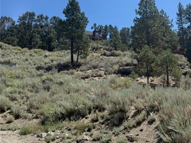 2201 Ironwood Dr, Pine Mountain Club, CA 93222