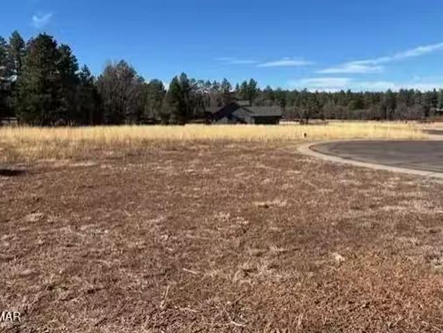 2201 W Edgewater, Show Low, AZ 85901 MLS 253812