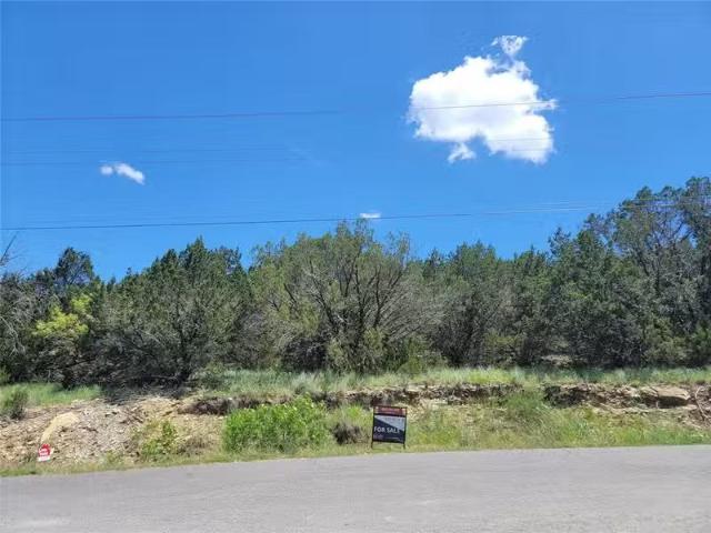 2203 Christine Dr, Granbury, TX 76048