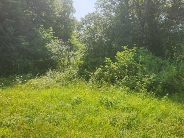 220th Ave Lot 2