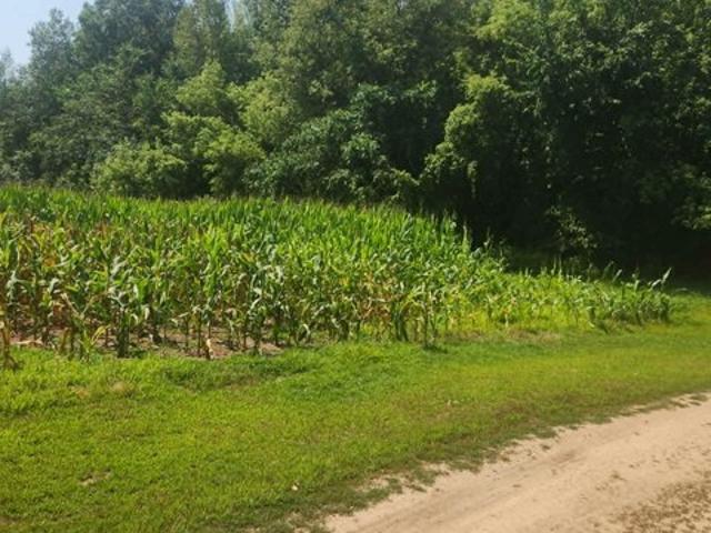 220th Ave Lot 3, New Richmond, WI 54017