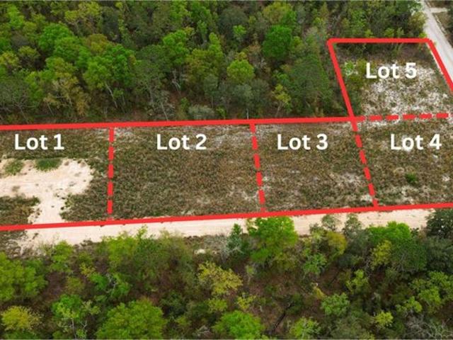 220th Path Lot 1/2, OBrien, FL 32071