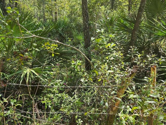 220 Chesser Rd, Palatka, FL 32177 | MLS #1247