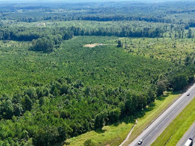 220 Acres on Reese Road