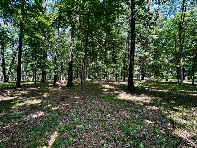 220 Beyers Lake Rd, Pana, IL 62557 | MLS #12405