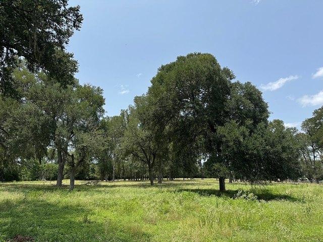 220 Bybee Rd, Round Top, TX 78954