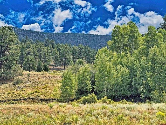 220 Escondida Dr, South Fork, CO 81154