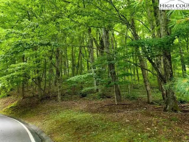 220 Knoll Ct, Banner Elk, NC 28604 MLS 247725